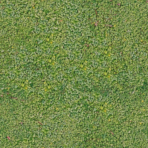 Texture JPEG grass weeds ground