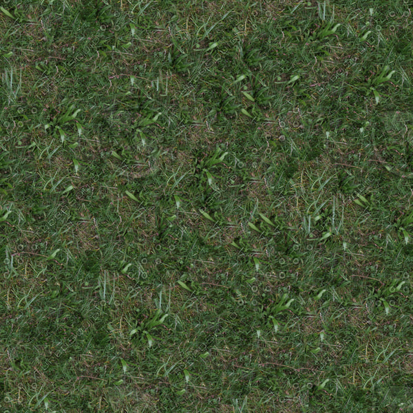 Texture JPEG grass ground green