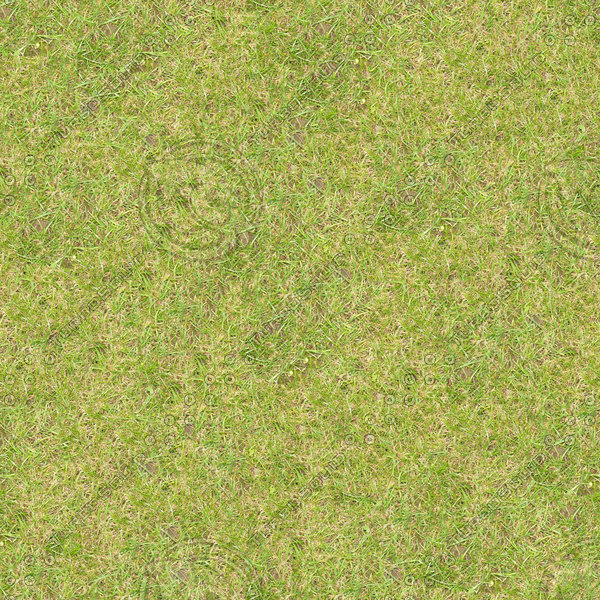 Texture JPEG grass ground green