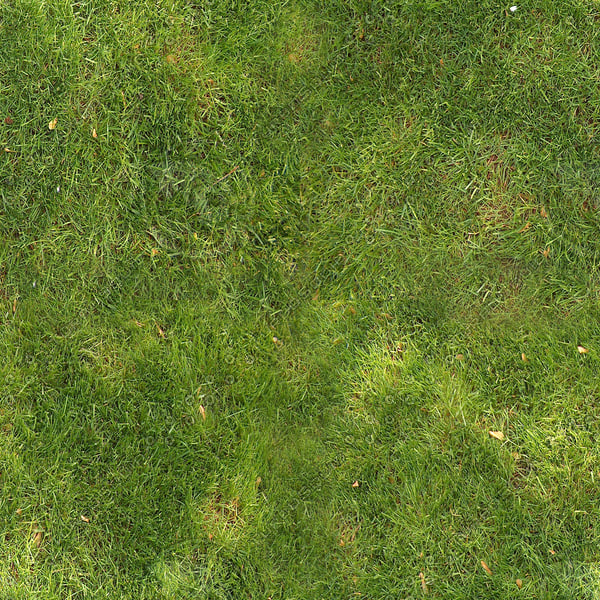 Texture JPEG Grass Lawn Yard