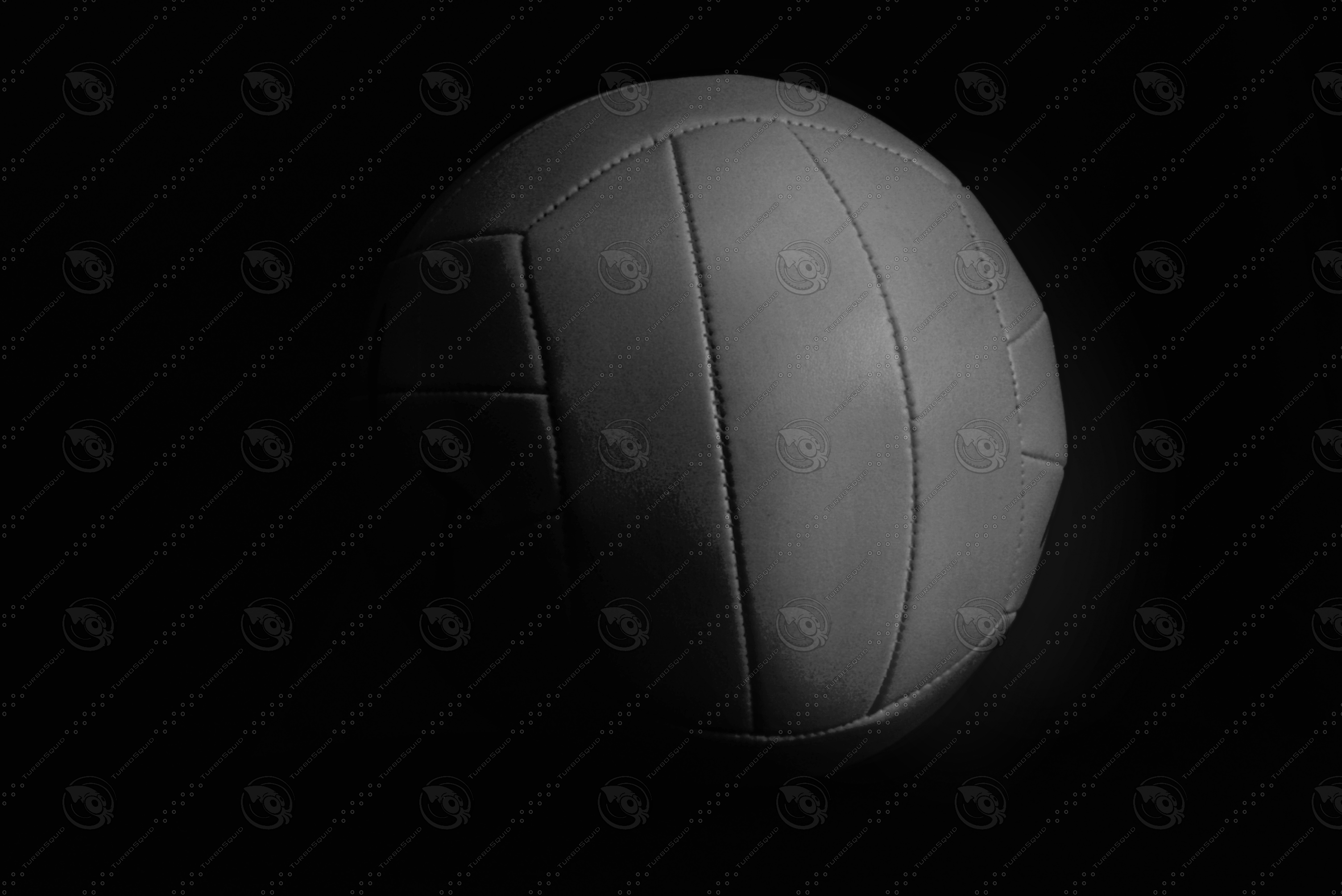 Texture JPEG bw volleyball black