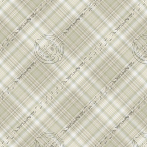Texture JPEG tan plaid material