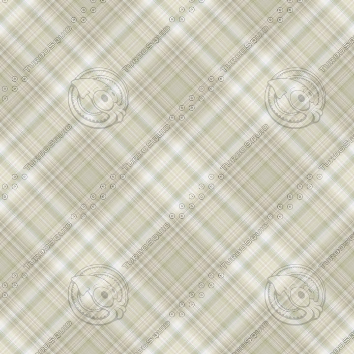 Texture JPEG tan plaid material