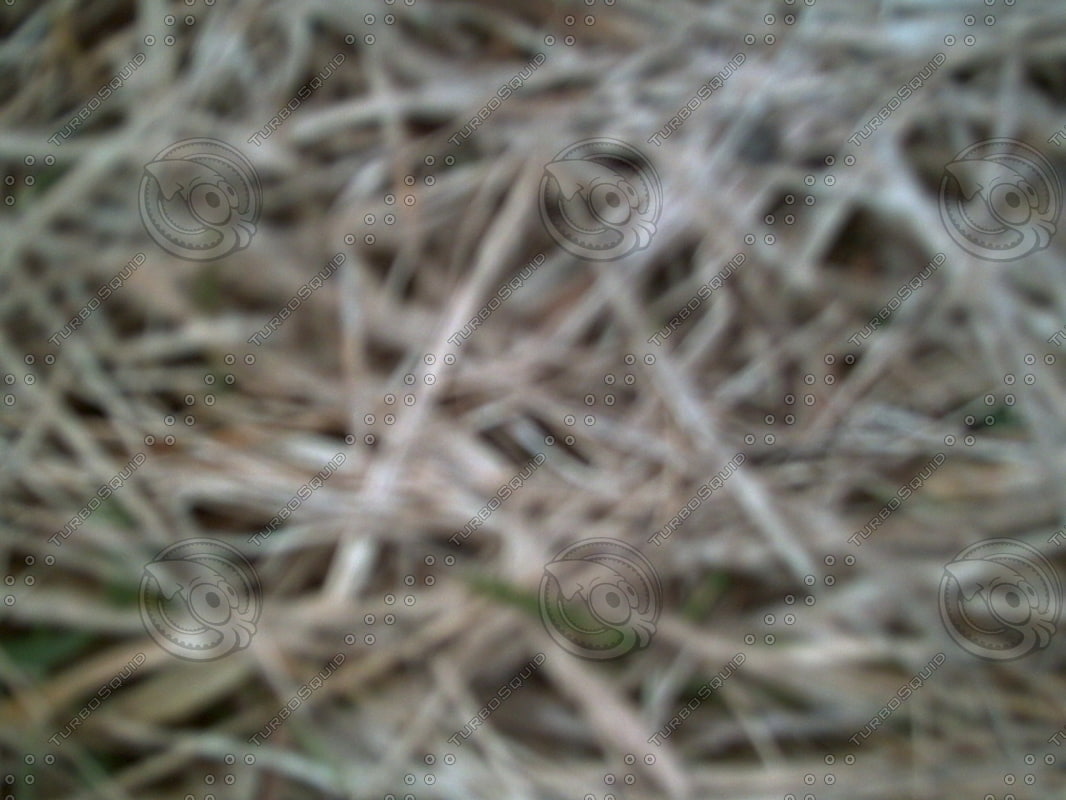 Texture JPEG grass green ground