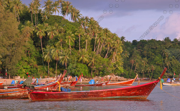 Stock JPEG LANDSCAPE WILDLIFE NATURE