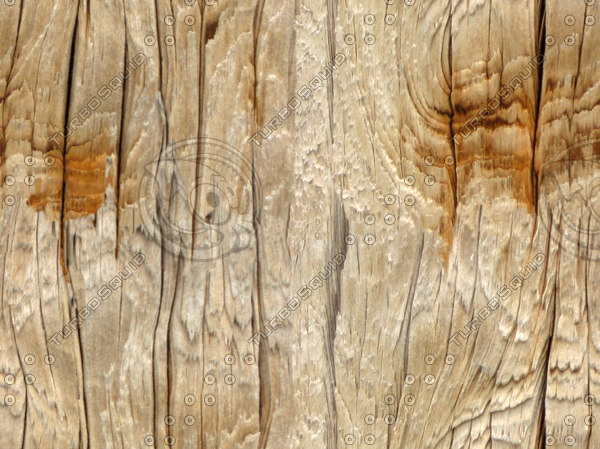 Texture JPEG telephone pole wood