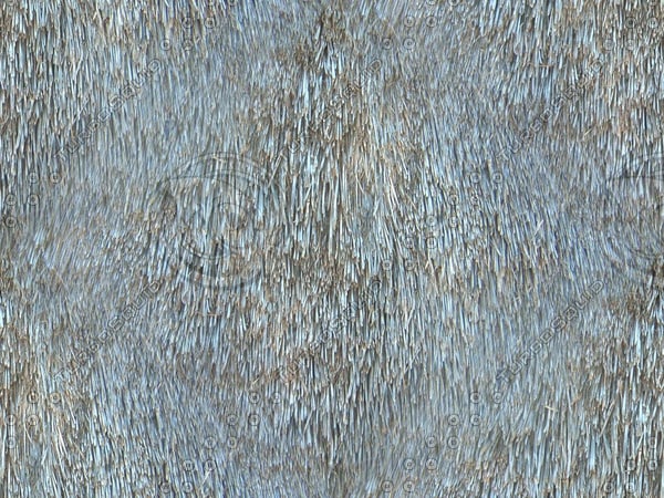 Texture JPEG Seamless roof thatched