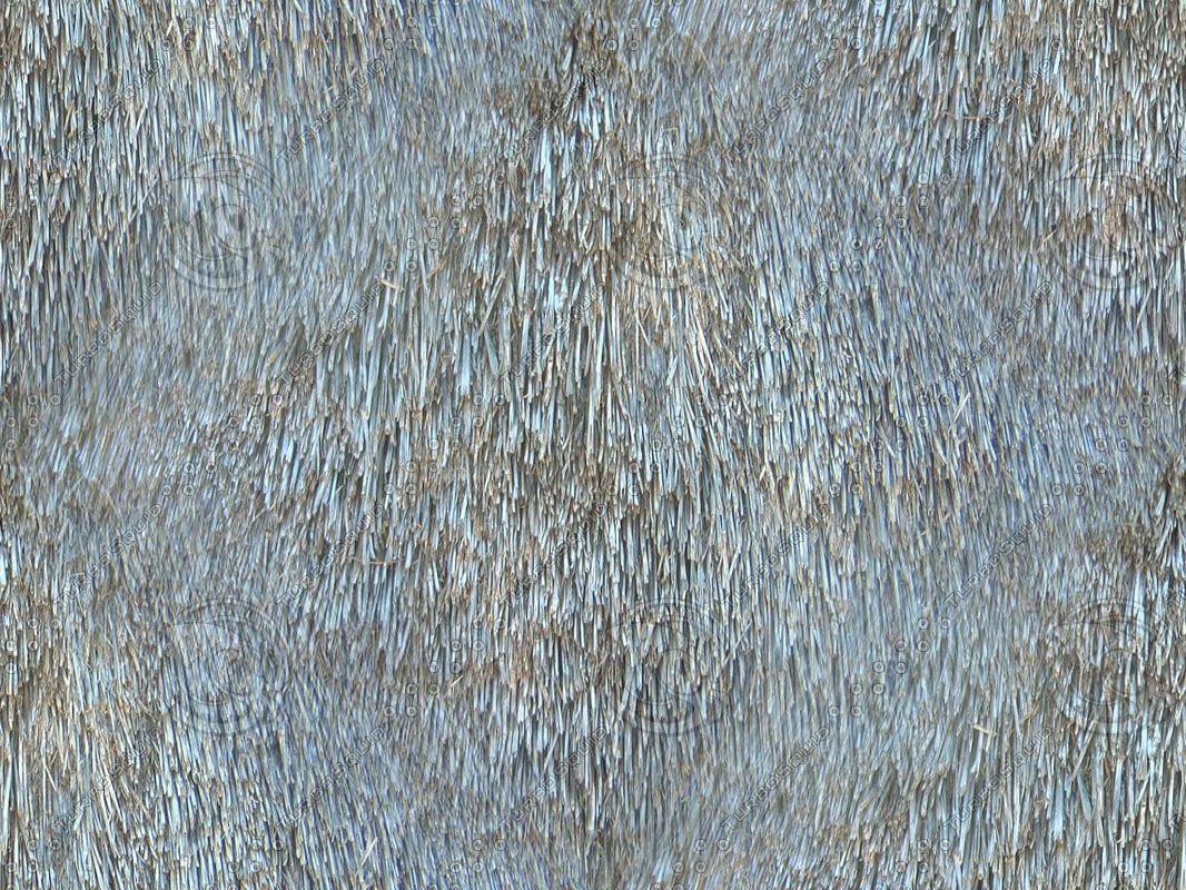 Texture JPEG Seamless roof thatched