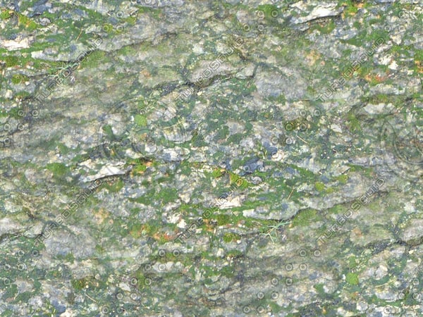 Texture JPEG Wall Seamless Stone