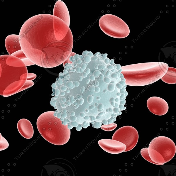 Stock JPEG blood cells cell