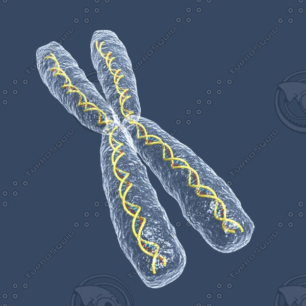 Stock JPEG chromosome DNA medical