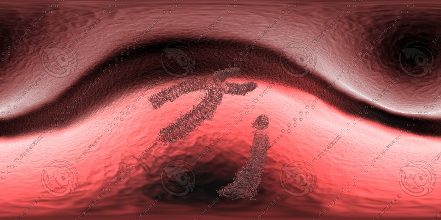 Texture JPEG chromosome DNA tRNA