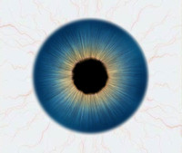 3D Eye Texture Maps, 3D eye Animation, 3D Tree Files at TurboSquid