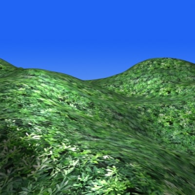 Texture JPEG terrain foliage tileable
