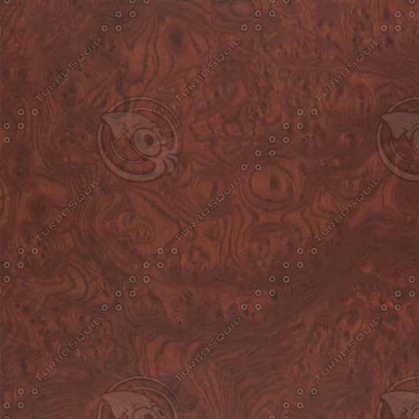 Texture JPEG burl wood oak