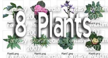 Texture Other Alpha Maps Plants