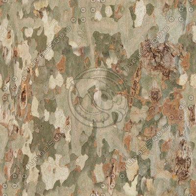 Texture Targa bark textures tiles