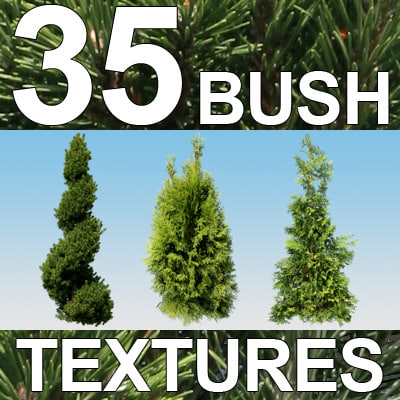 Texture Photoshop Bush Bushes Green