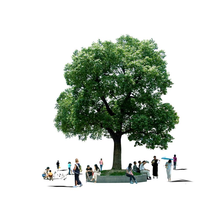 Texture TIFF ultimate collection tree