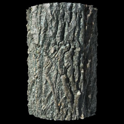 Texture Windows Bitmap Bark Oak Displace