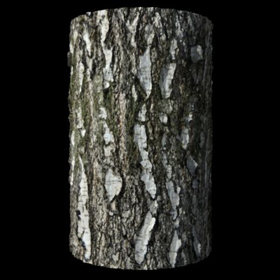 Texture Windows Bitmap Bark Birch Displace