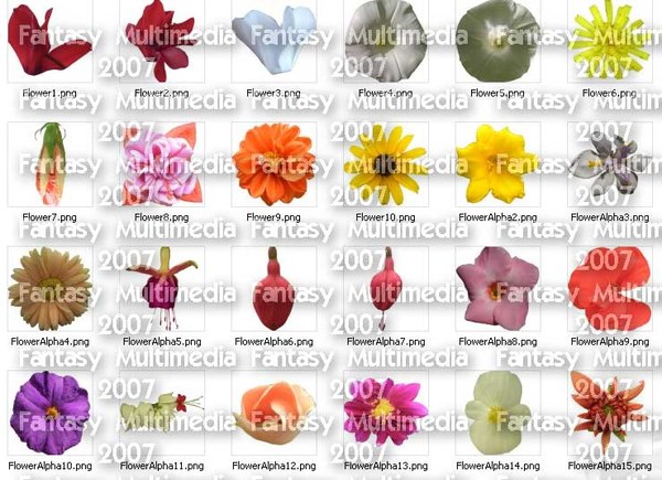 Texture PNG Alphamaps Floral Alpha
