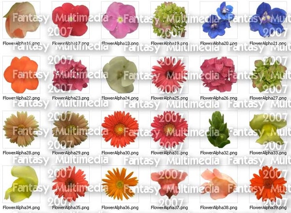 Texture PNG Alphamaps Floral Alpha