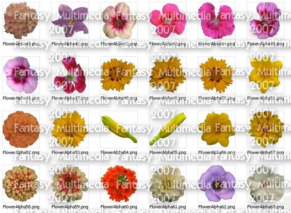 Texture PNG Alphamaps Floral Alpha