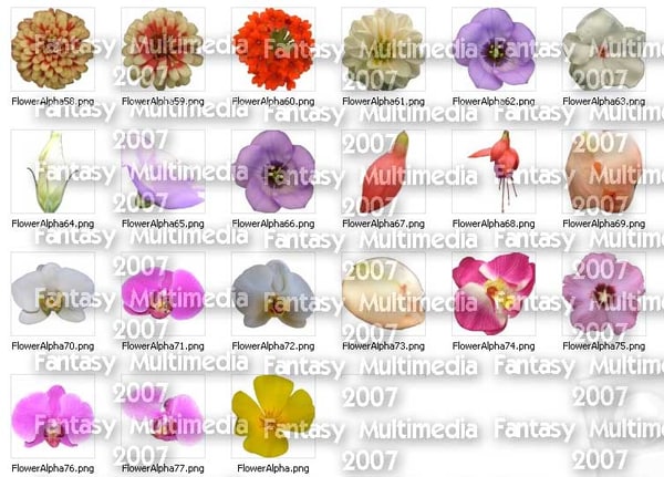 Texture PNG Alphamaps Floral Alpha
