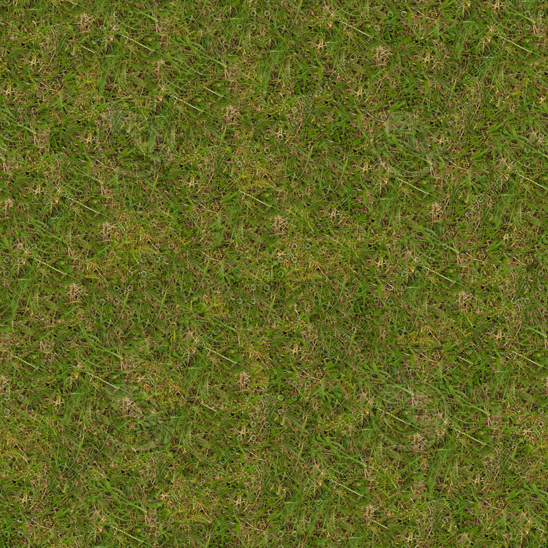 Texture JPEG grass ground green
