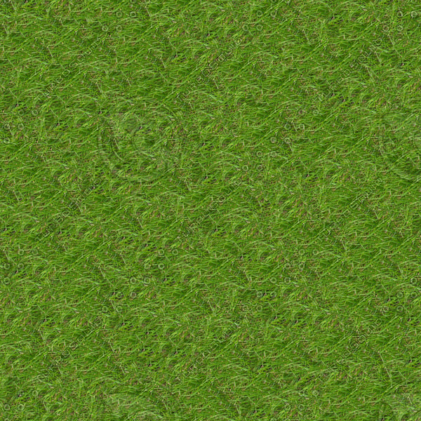Texture JPEG grass ground green