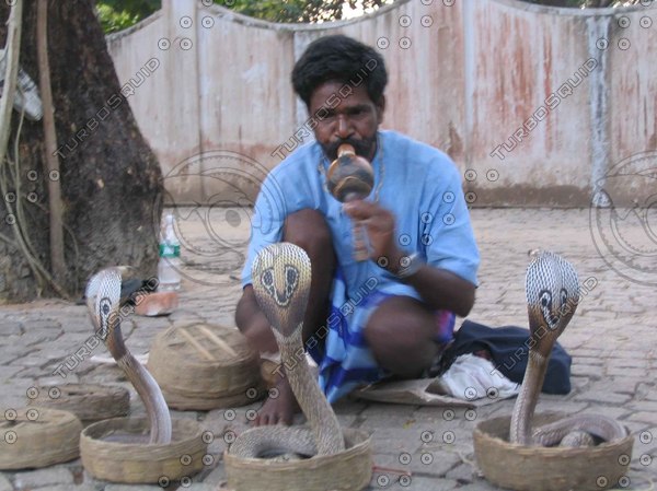 Stock JPEG snake cobra building