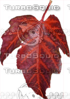 Texture PNG Fire Alpha Maps