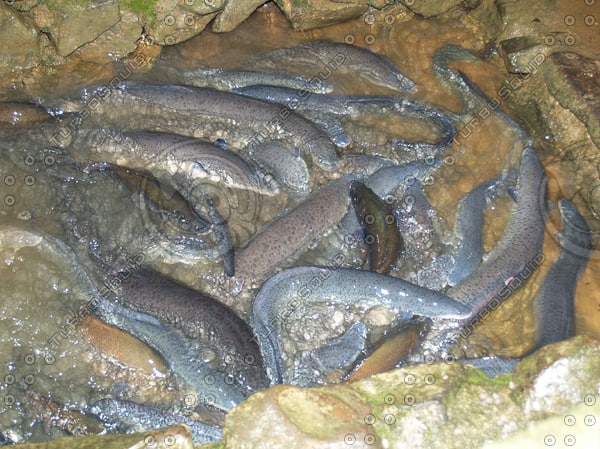 Stock JPEG building street city