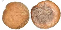 Texture Targa bread food map