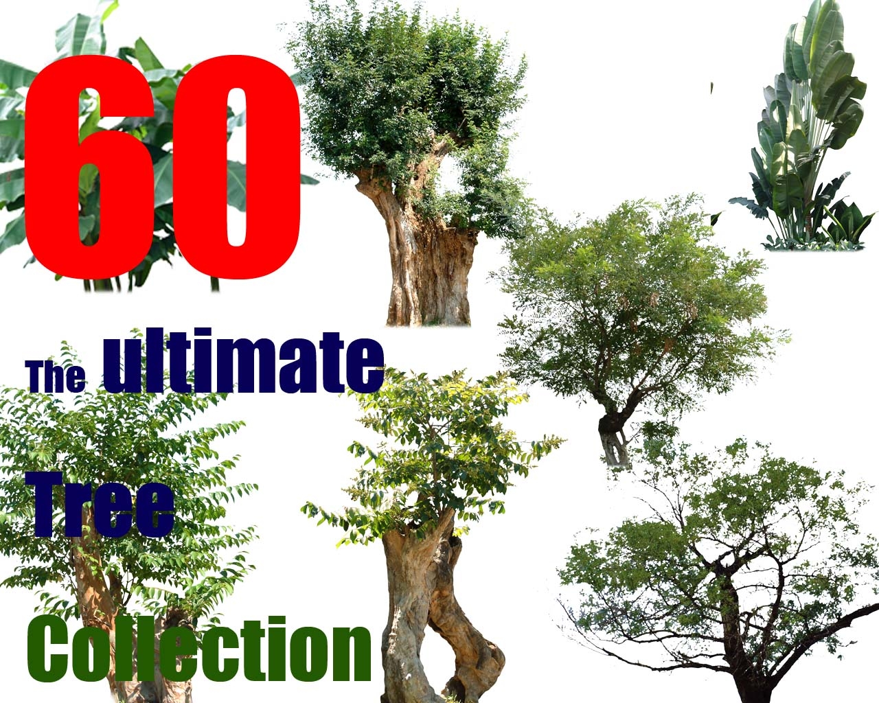 Texture TIFF ultimate collection tree