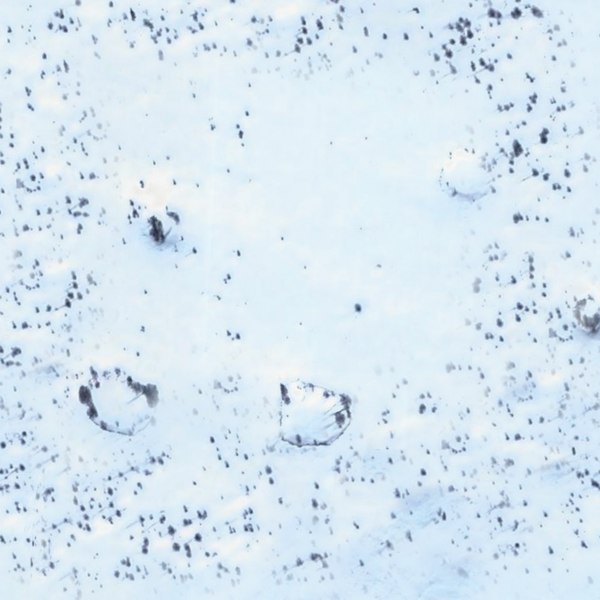 Texture Windows Bitmap Snow Seamless