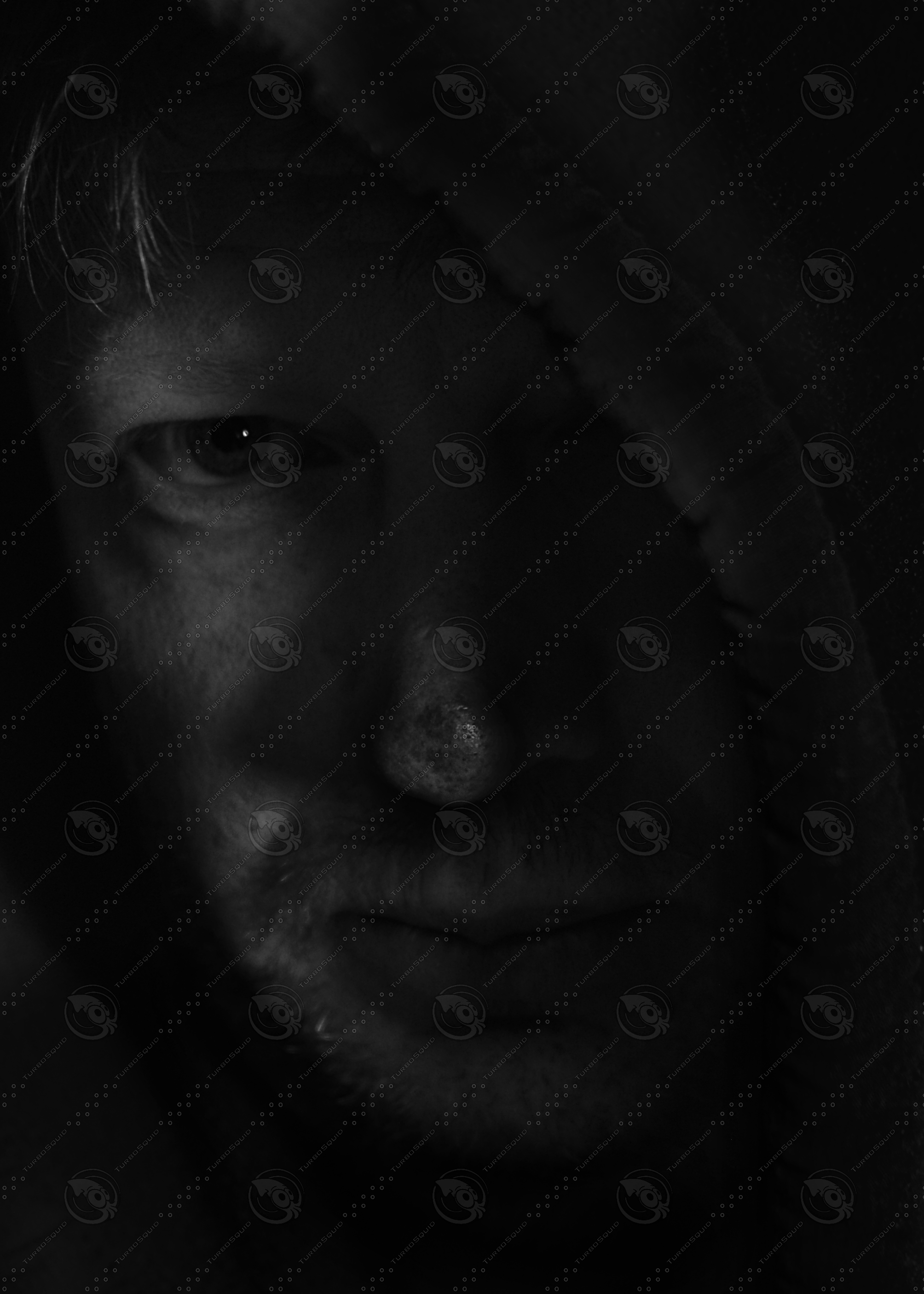 Stock JPEG Person man in