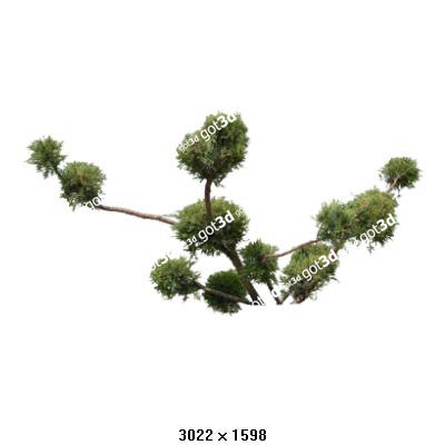 Texture Photoshop Bush Bushes Green