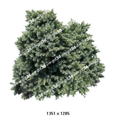 Texture Photoshop Bush Bushes Green