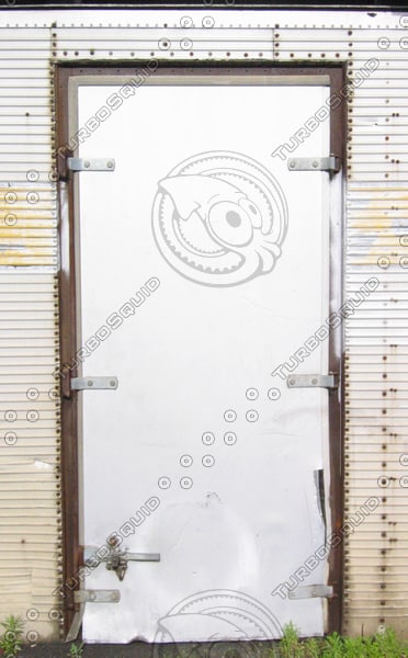 Texture Windows Bitmap door doors front
