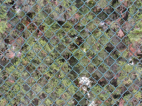 Texture Windows Bitmap fence tileable fences