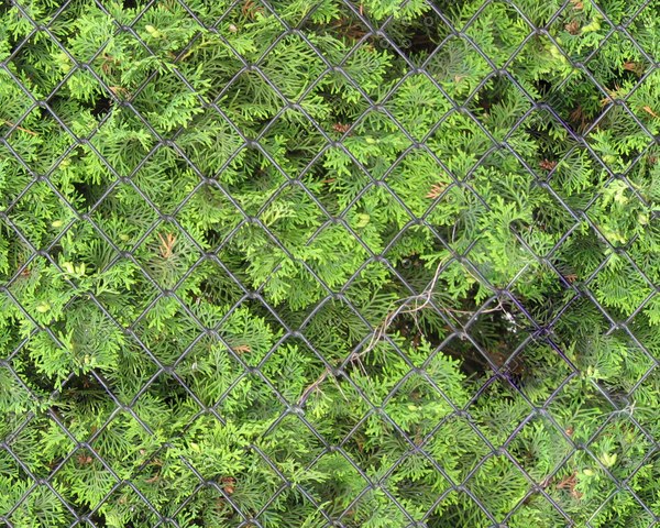 Texture Windows Bitmap fence tileable fences