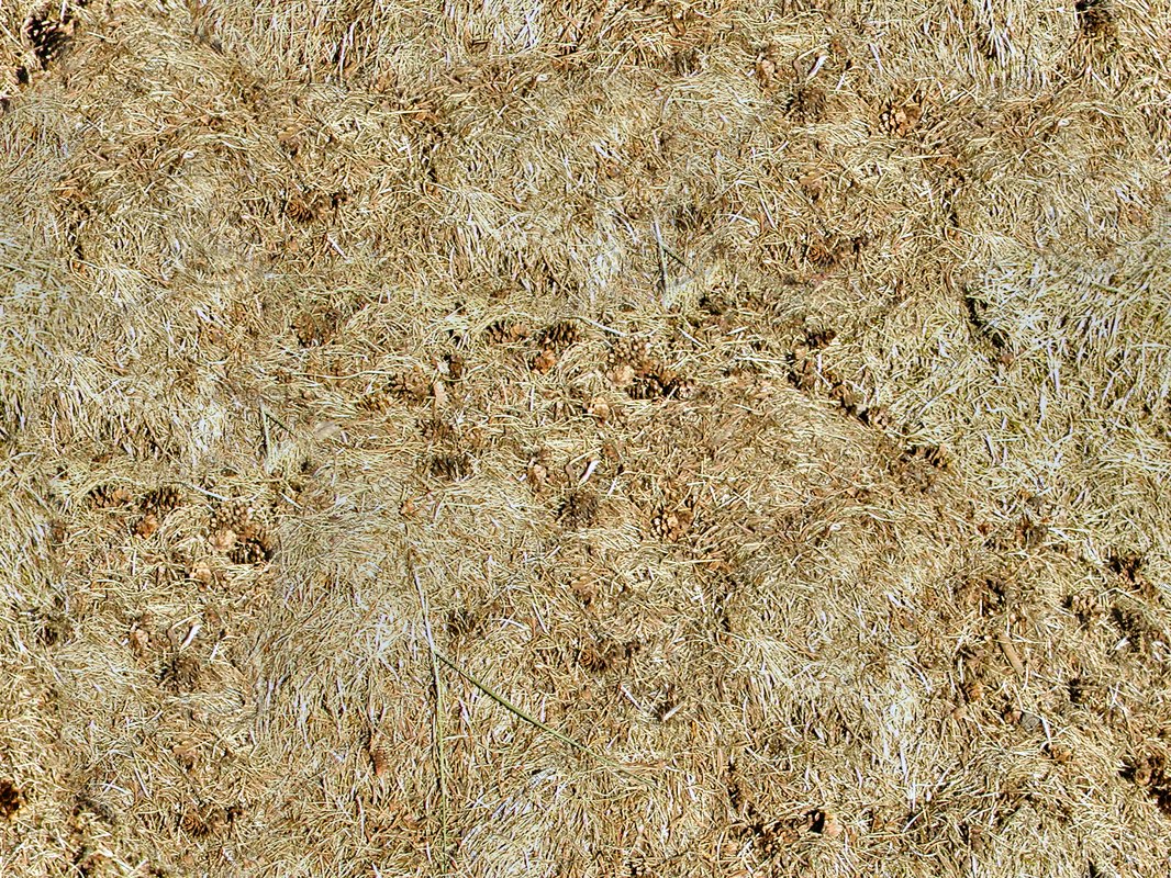Texture Windows Bitmap ground tileable seamless