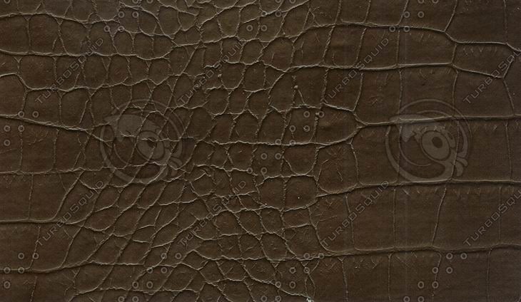 Texture JPEG leather croco animal
