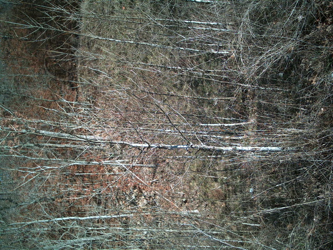 Stock JPEG texture textures landscape