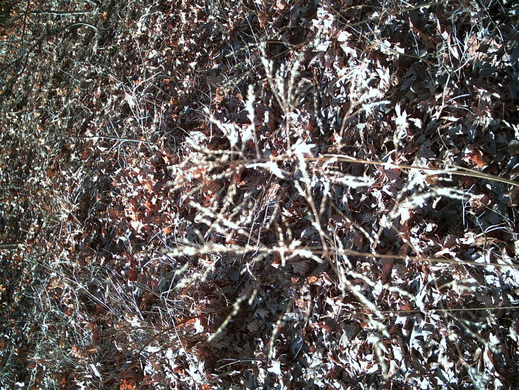 Stock JPEG texture textures landscape