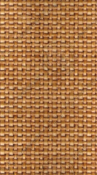 Texture JPEG bali ralphia light