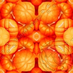 Texture JPEG Pumpkin seamless texture
