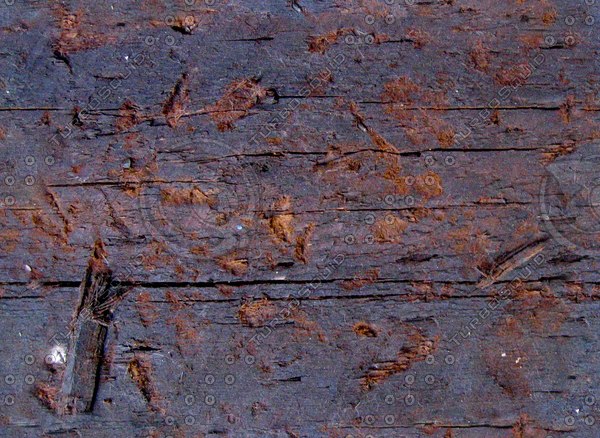 Texture Windows Bitmap wood tileable wooden